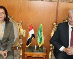 Fulbright Egyptian Student Program – Applied, Fine and Performing Arts ...