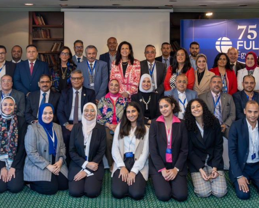 Fulbright Egyptian Student Program – Master’s Degree – Fulbright ...