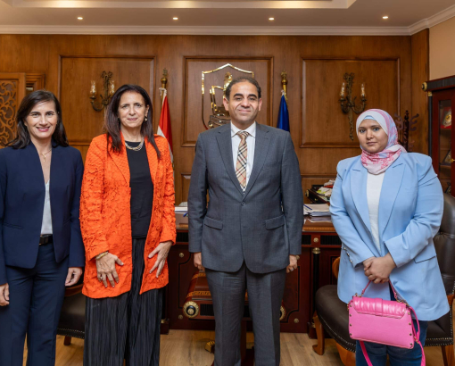 Fulbright Egyptian Student Program – Master’s Degree – Fulbright ...